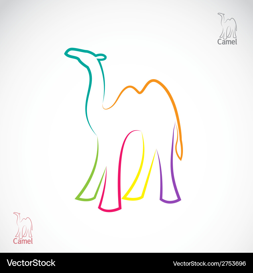 Camel Royalty Free Vector Image - VectorStock