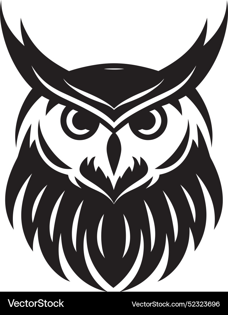 Eclipse watcher black owl artworktwilight Vector Image