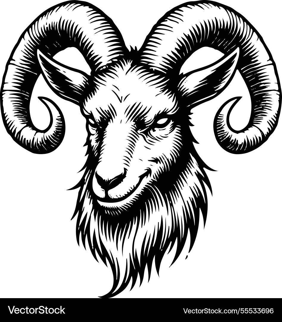Goat head Royalty Free Vector Image - VectorStock