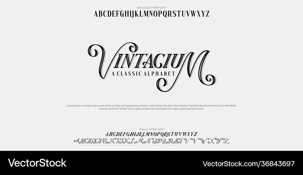 Custom font bundle script serif alphabet Vector Image