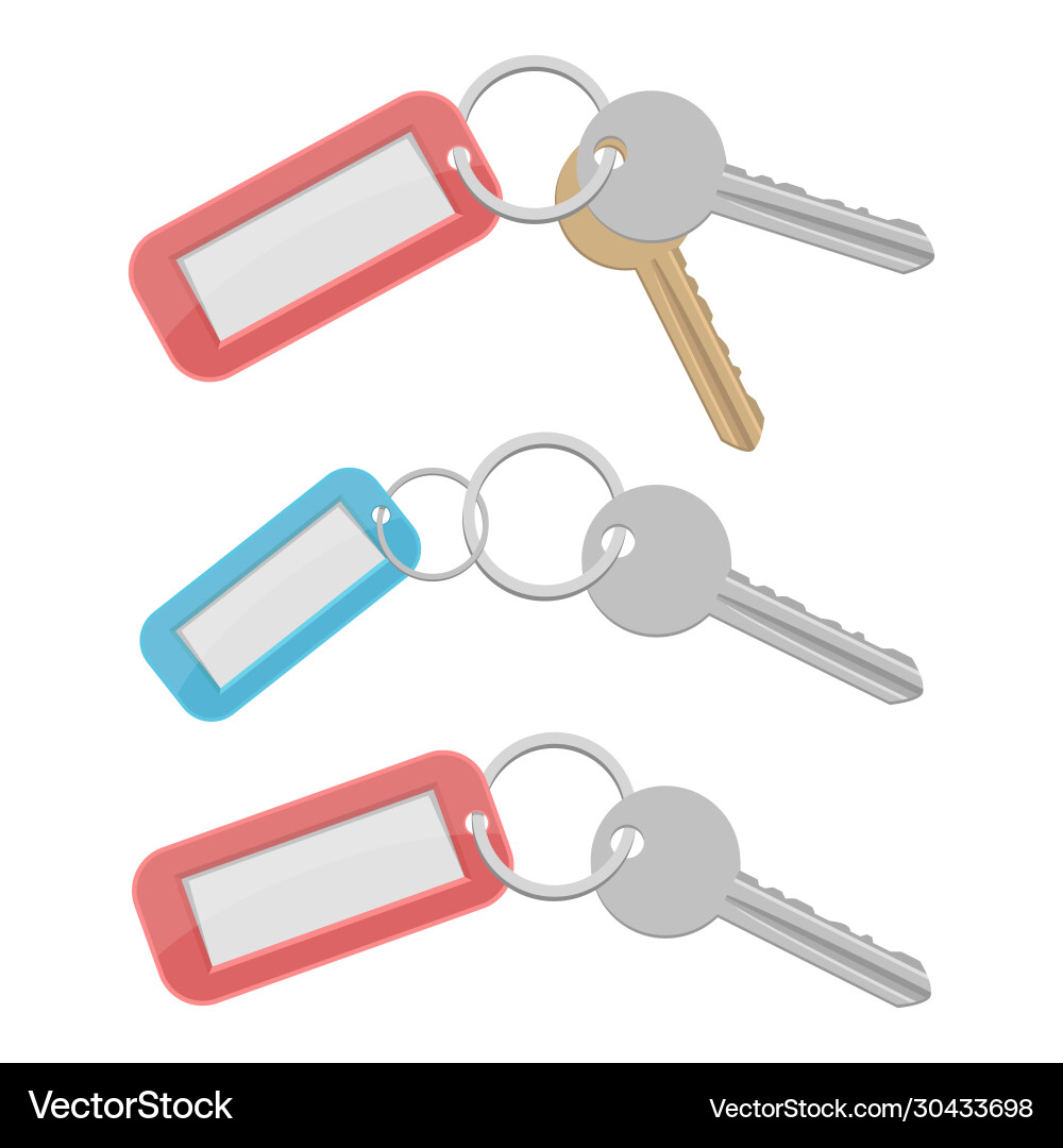 Door key Royalty Free Vector Image - VectorStock