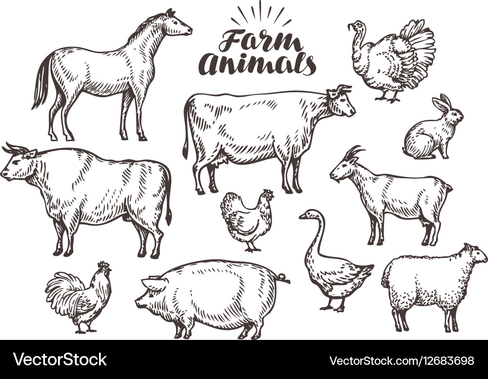 Farm sketch collection animals Royalty Free Vector Image