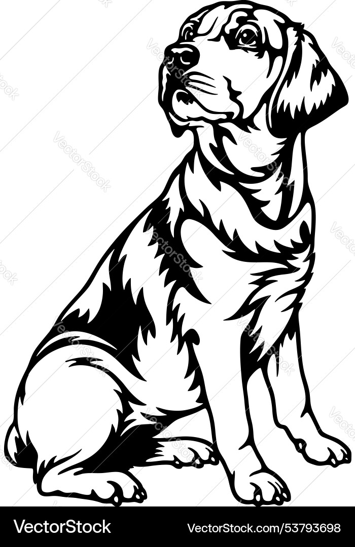 Labrador dog breed - pet cut file Royalty Free Vector Image