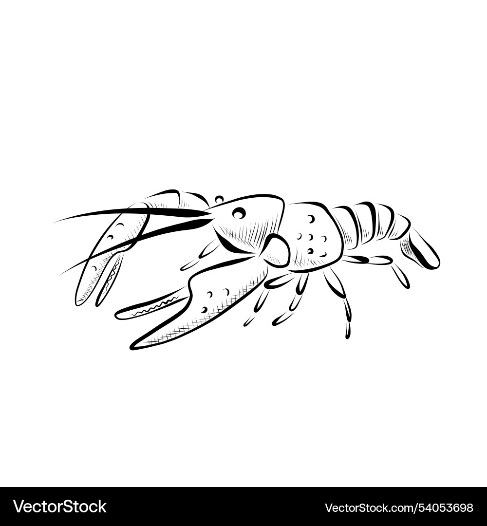 Line drawing art beer snack - crayfish Royalty Free Vector
