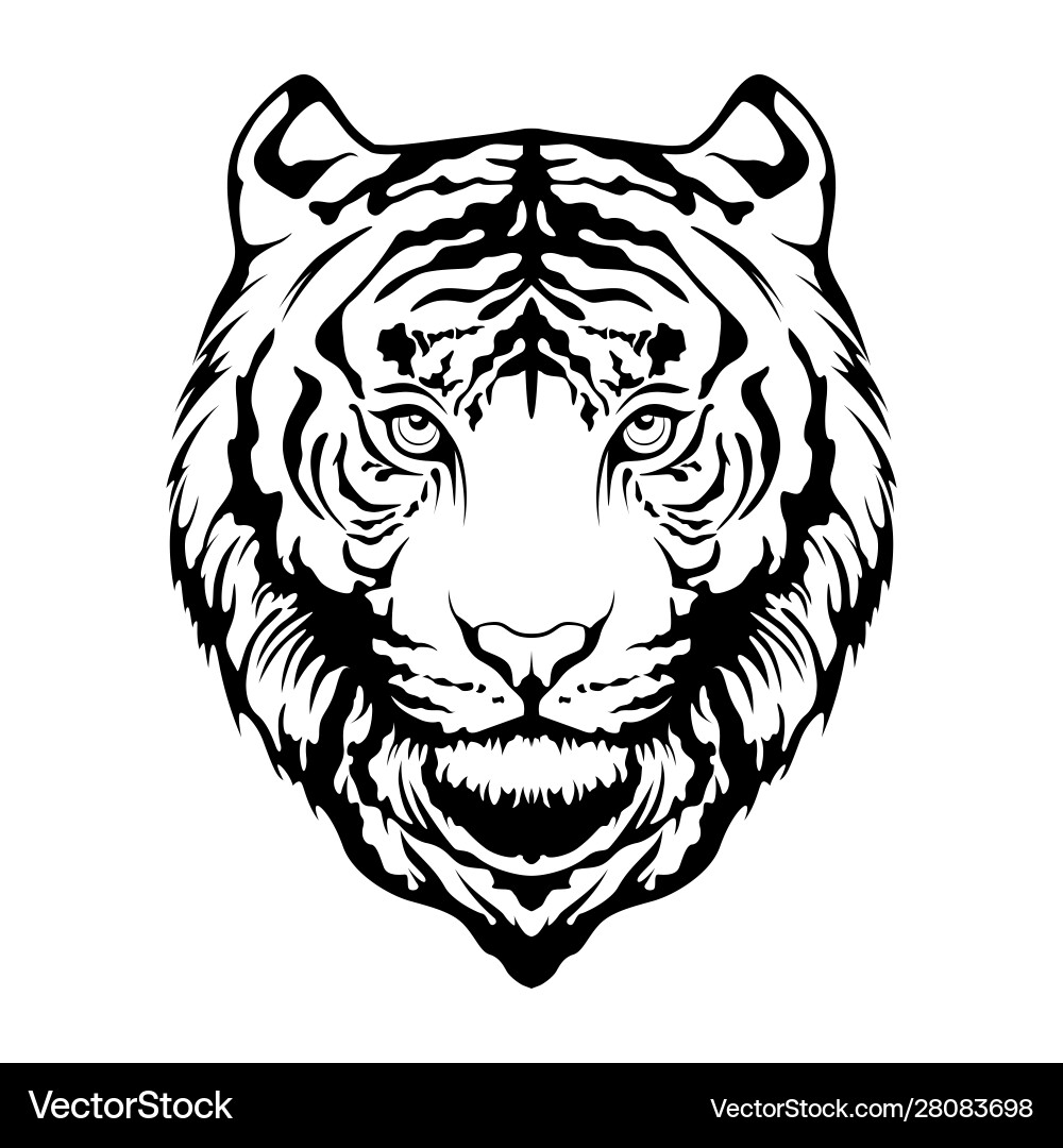 Tiger Royalty Free Vector Image - VectorStock
