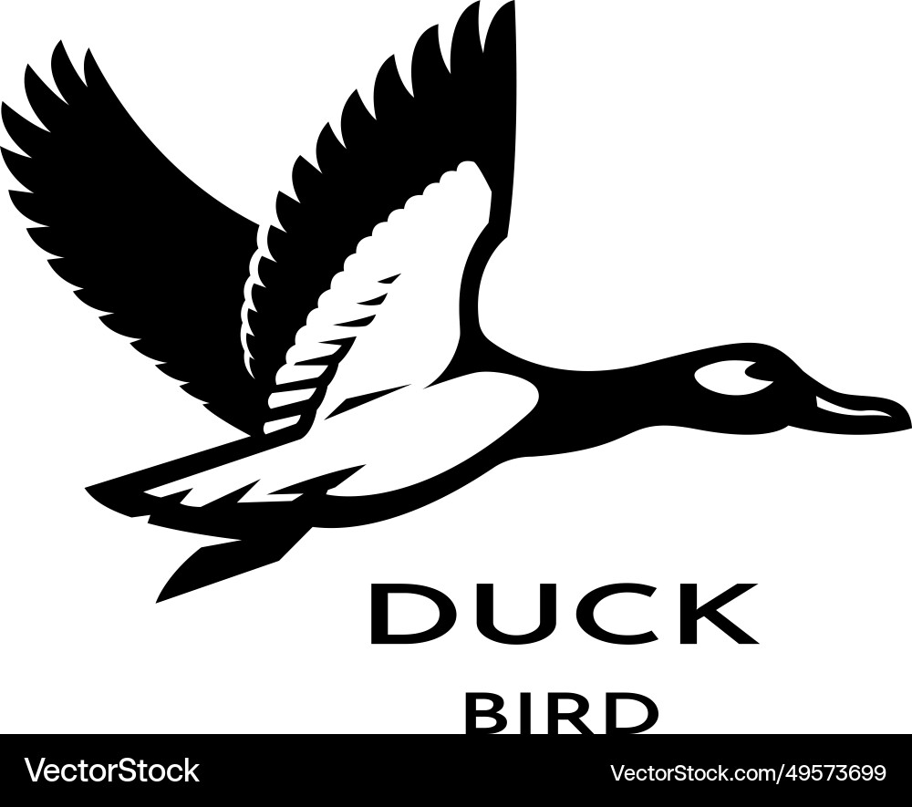 Duck Flying Vector