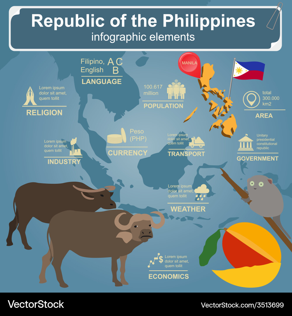 Philippines infographics statistical data sights Vector Image