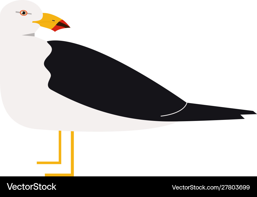 Sea birds pacific gull isolated Royalty Free Vector Image
