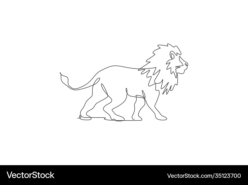 One single line drawing wild male lion Royalty Free Vector