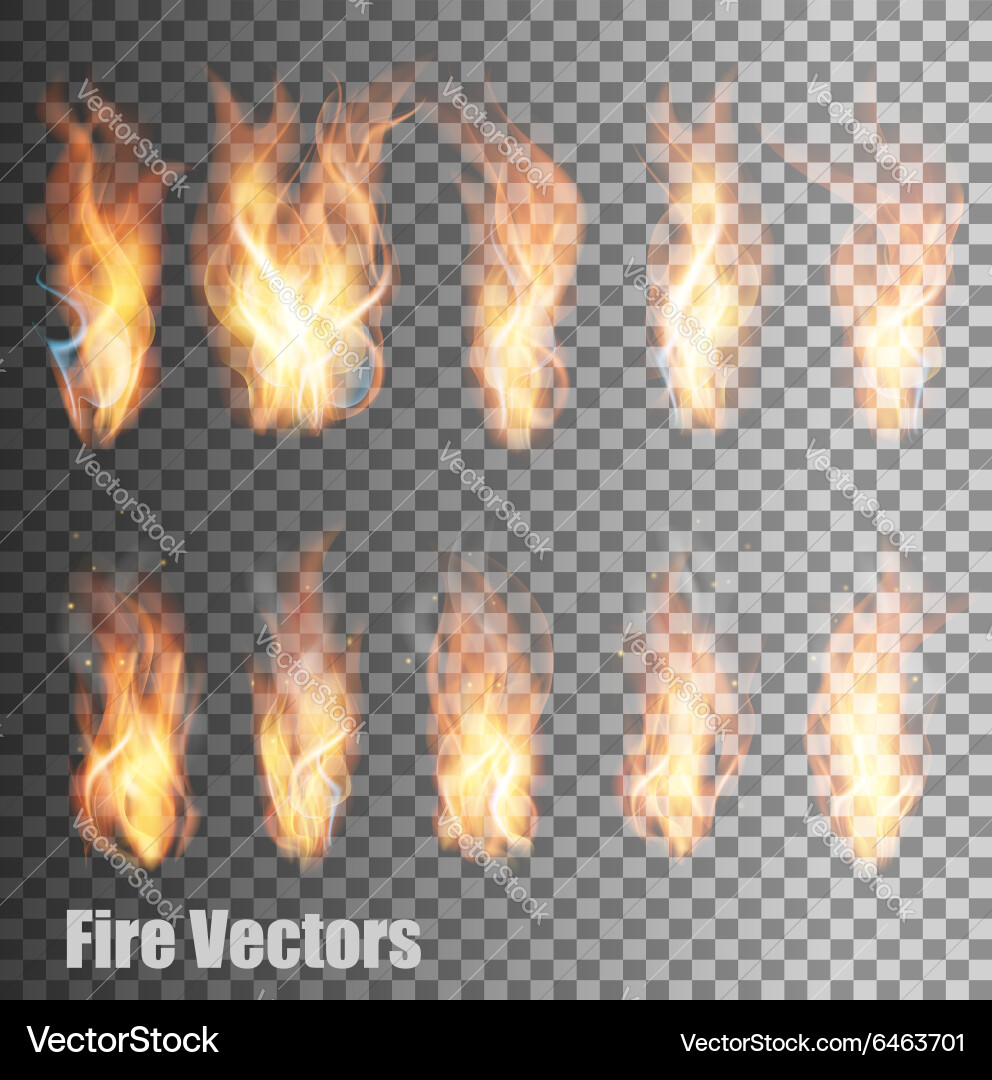 Set of transparent flame Royalty Free Vector Image