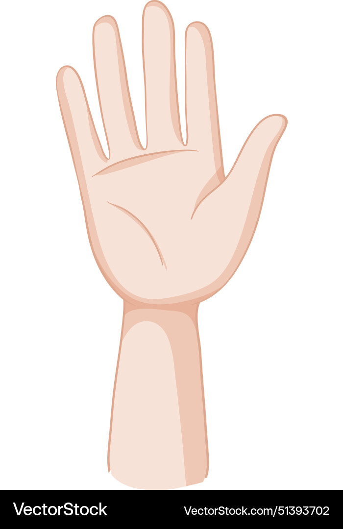 Detailed of a human hand Royalty Free Vector Image