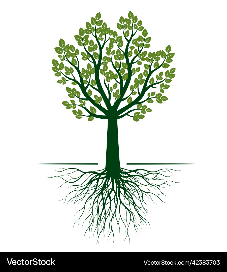 Green tree with roots outline Royalty Free Vector Image