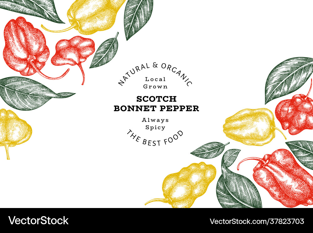 Hand gezeichnete Skizze Stil Scotch Bonnet Pfeffer
