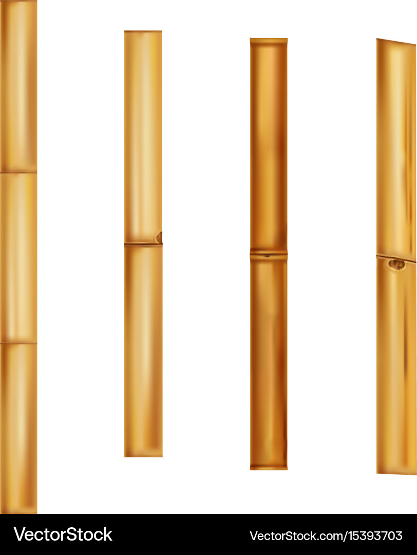Realistic Bamboo Stems Royalty Free Vector Image