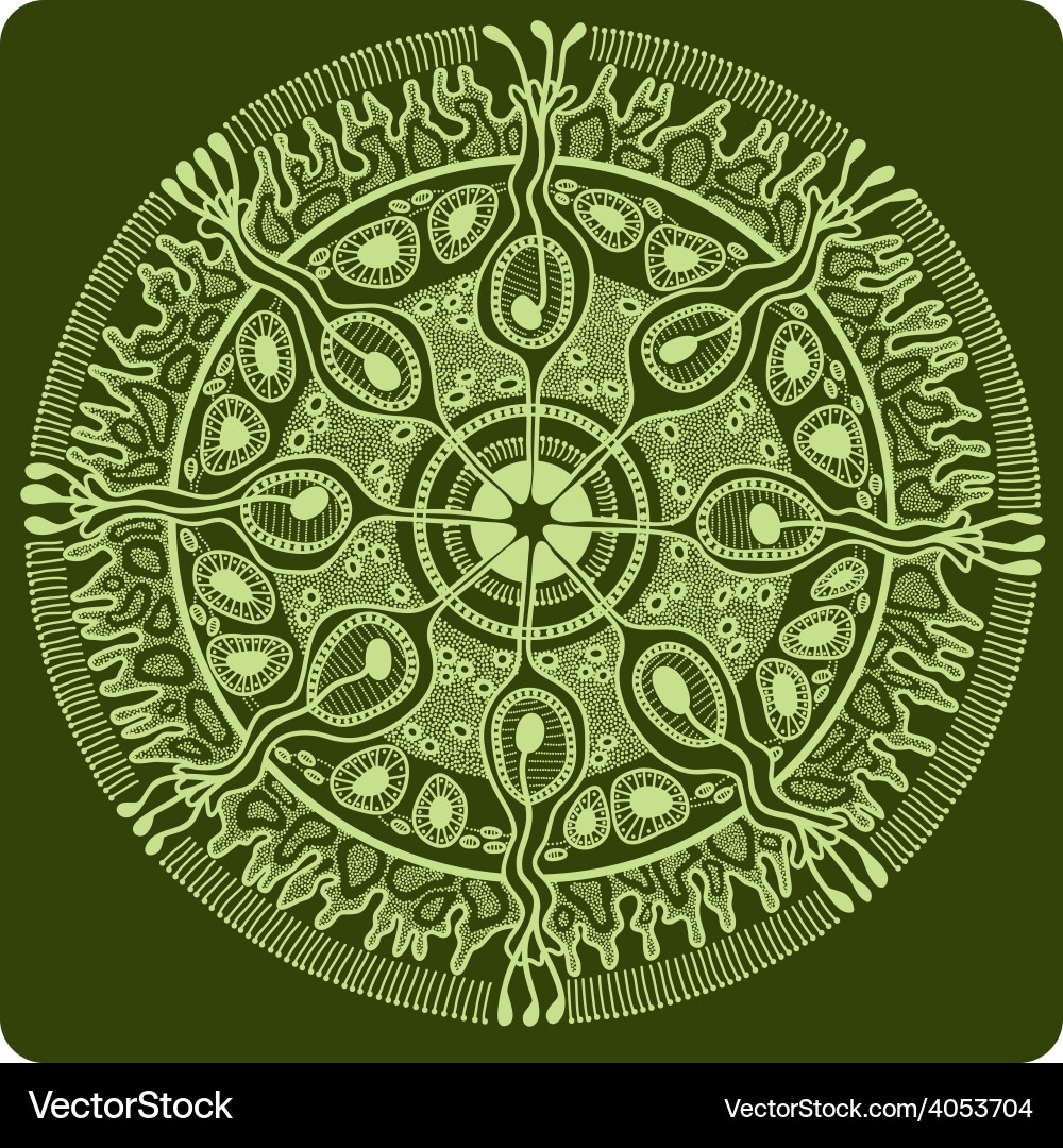 Circle 1 2 Royalty Free Vector Image - VectorStock