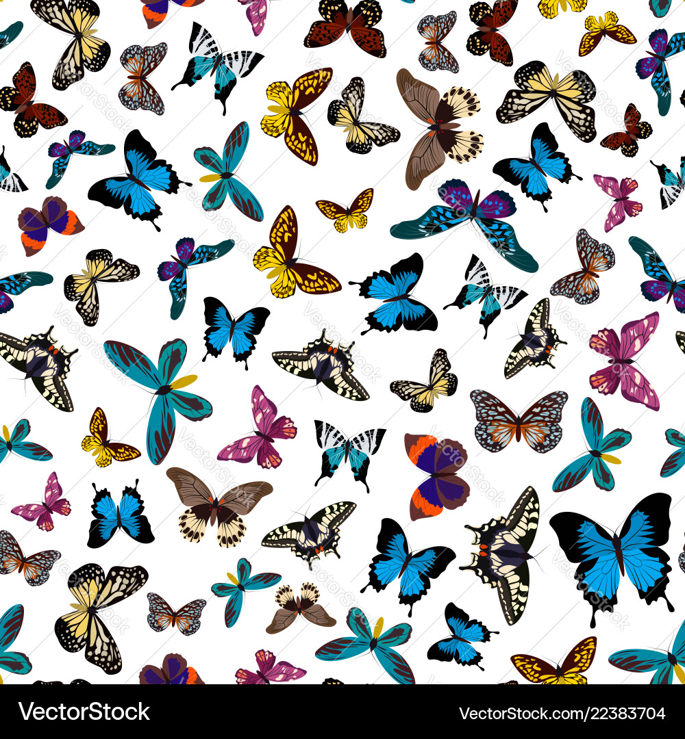 Colorful print pattern seamless butterflies Vector Image