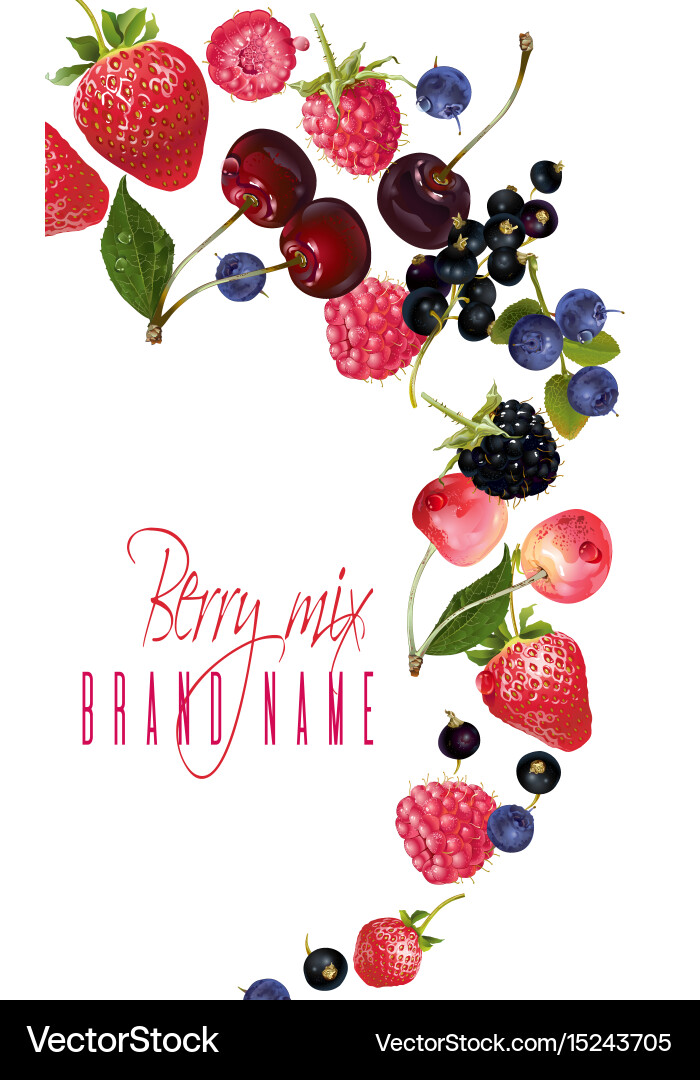 Berry mix falling banner Royalty Free Vector Image