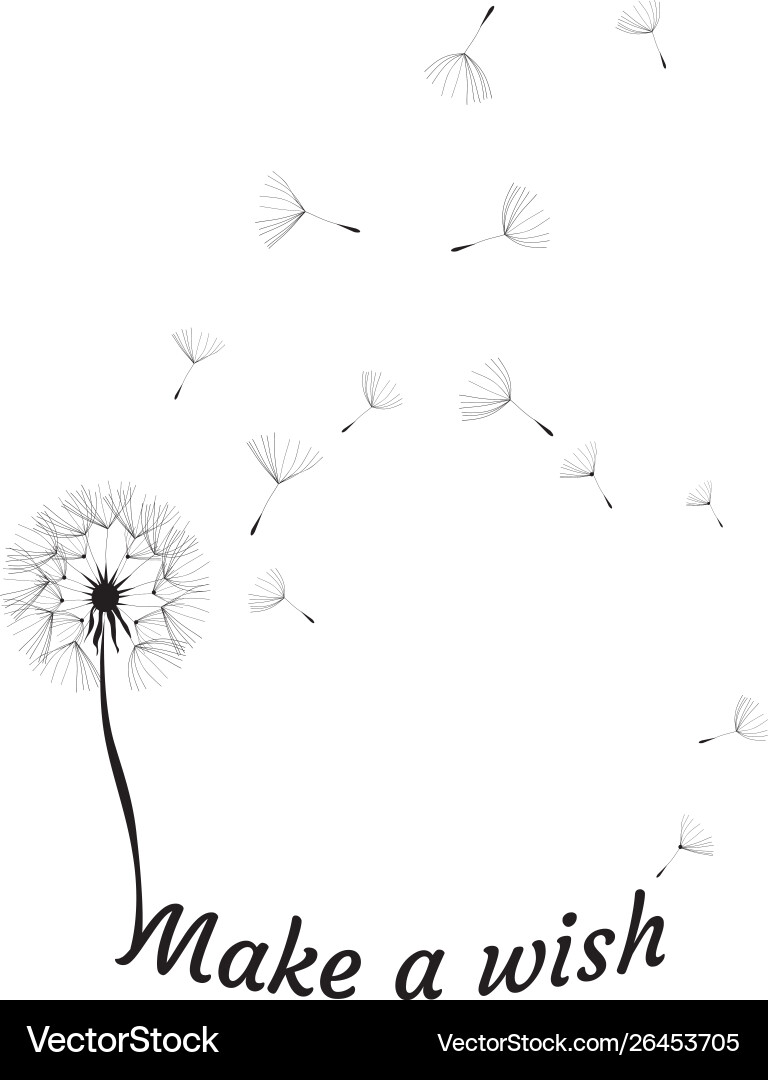 Dandelion make a wish Royalty Free Vector Image