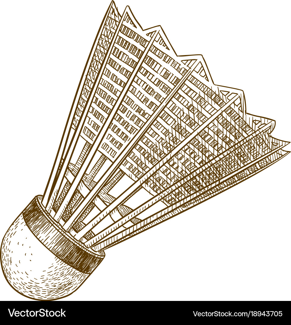 Engraving antique of shuttlecock Royalty Free Vector Image