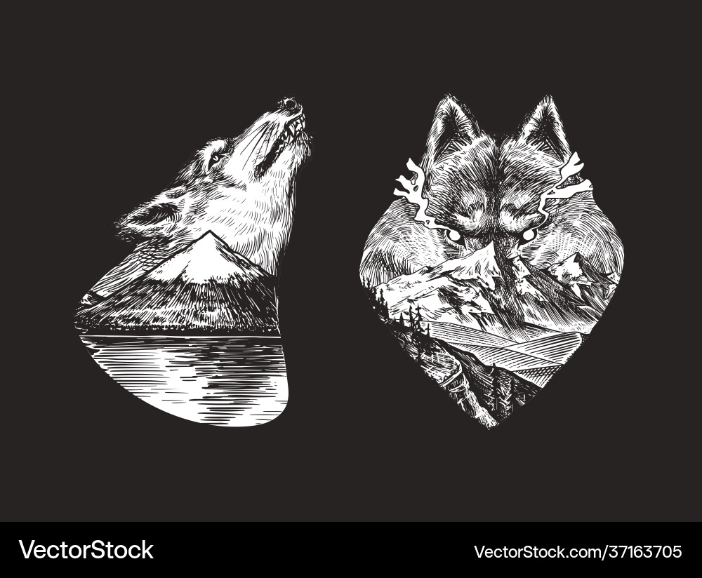 Gray wolf logo and badge forest mountain Vector Image