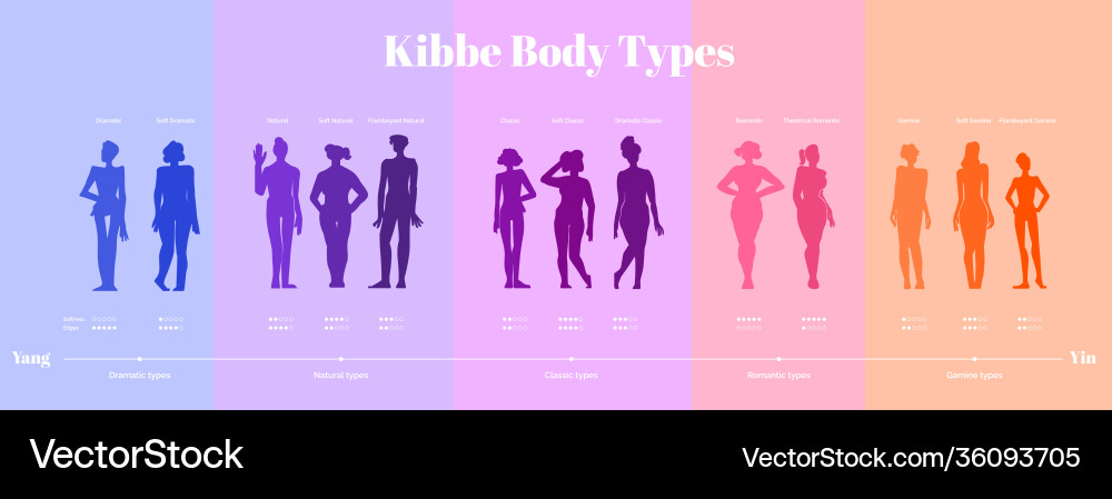 Kibbe Body Type Guide Royalty Free Vector Image