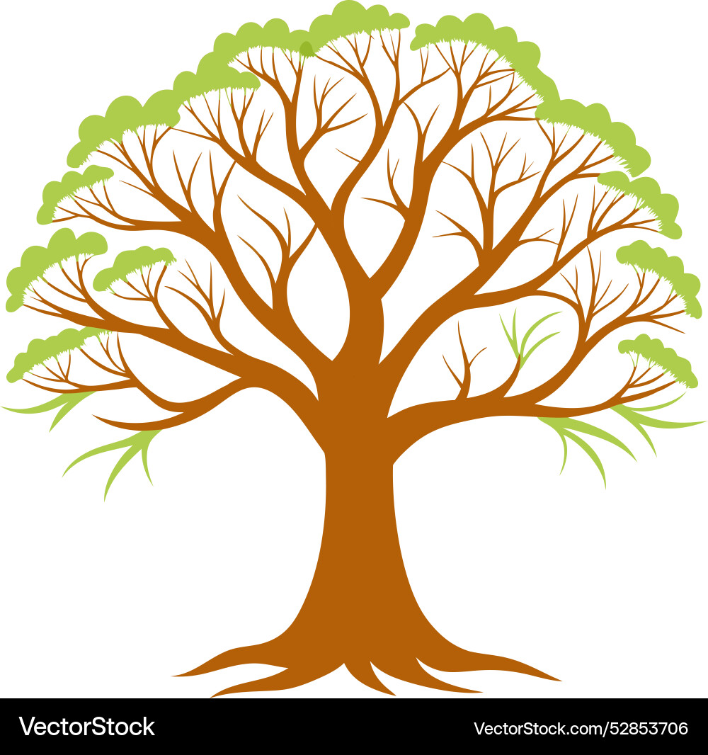 Art of a large tree Royalty Free Vector Image - VectorStock
