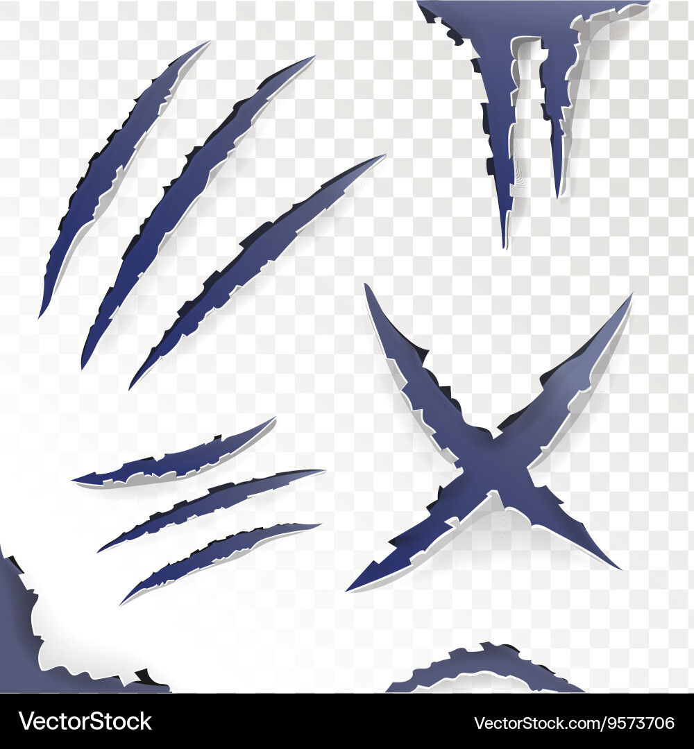 Claws scratches on a transparent background set Vector Image
