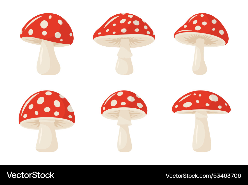 Colorful flat fly agaric set Royalty Free Vector Image