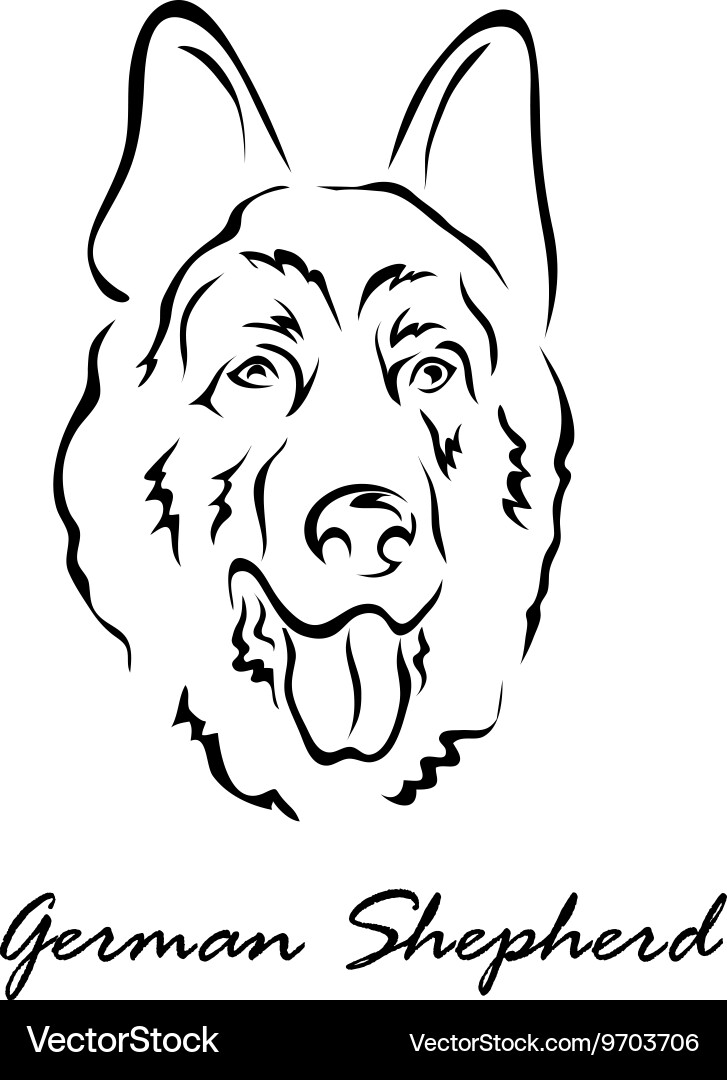 German Shepherd Dog Portrait Royalty Free Vector Image