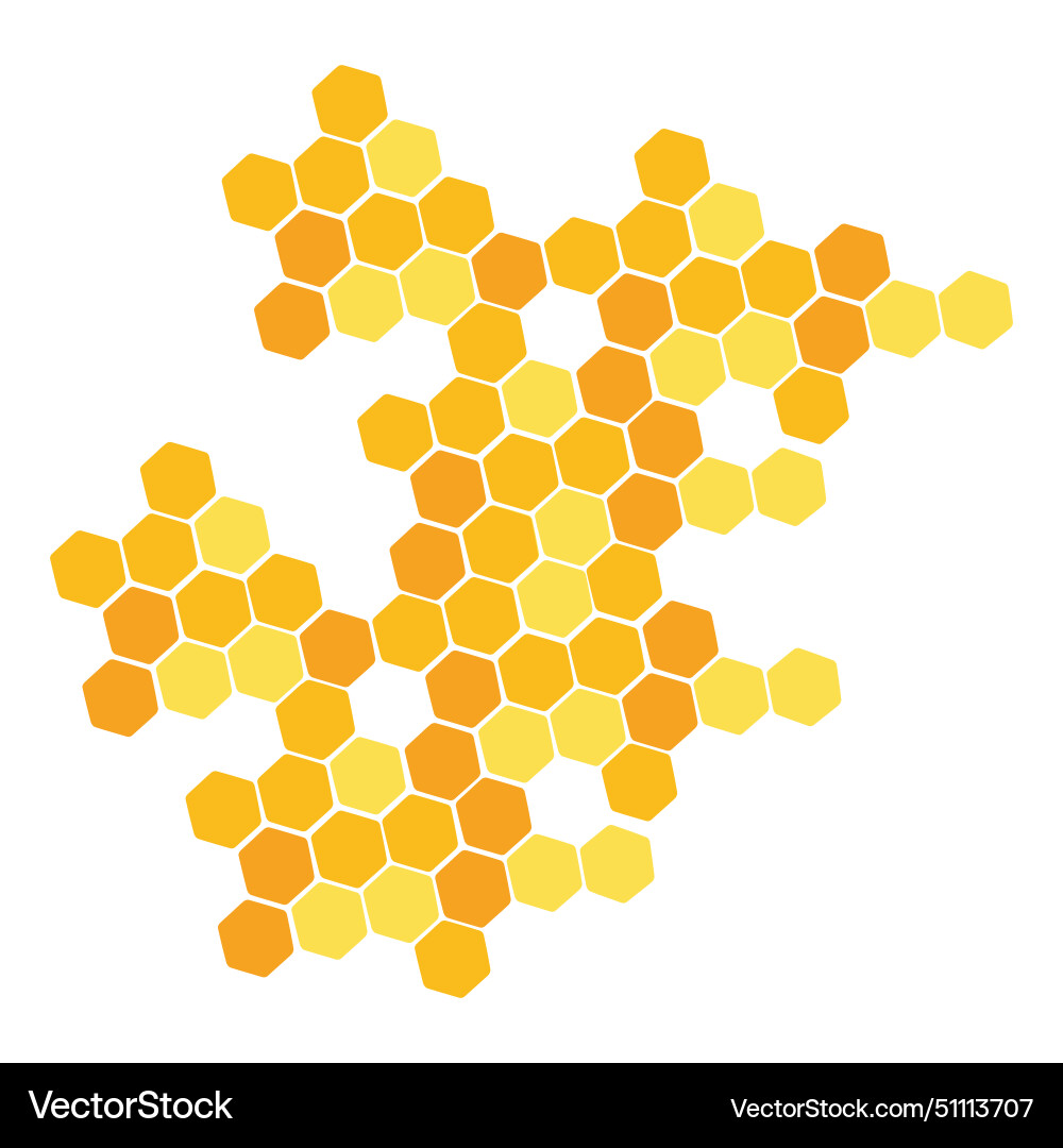 A honeycomb icon on white background the design Vector Image