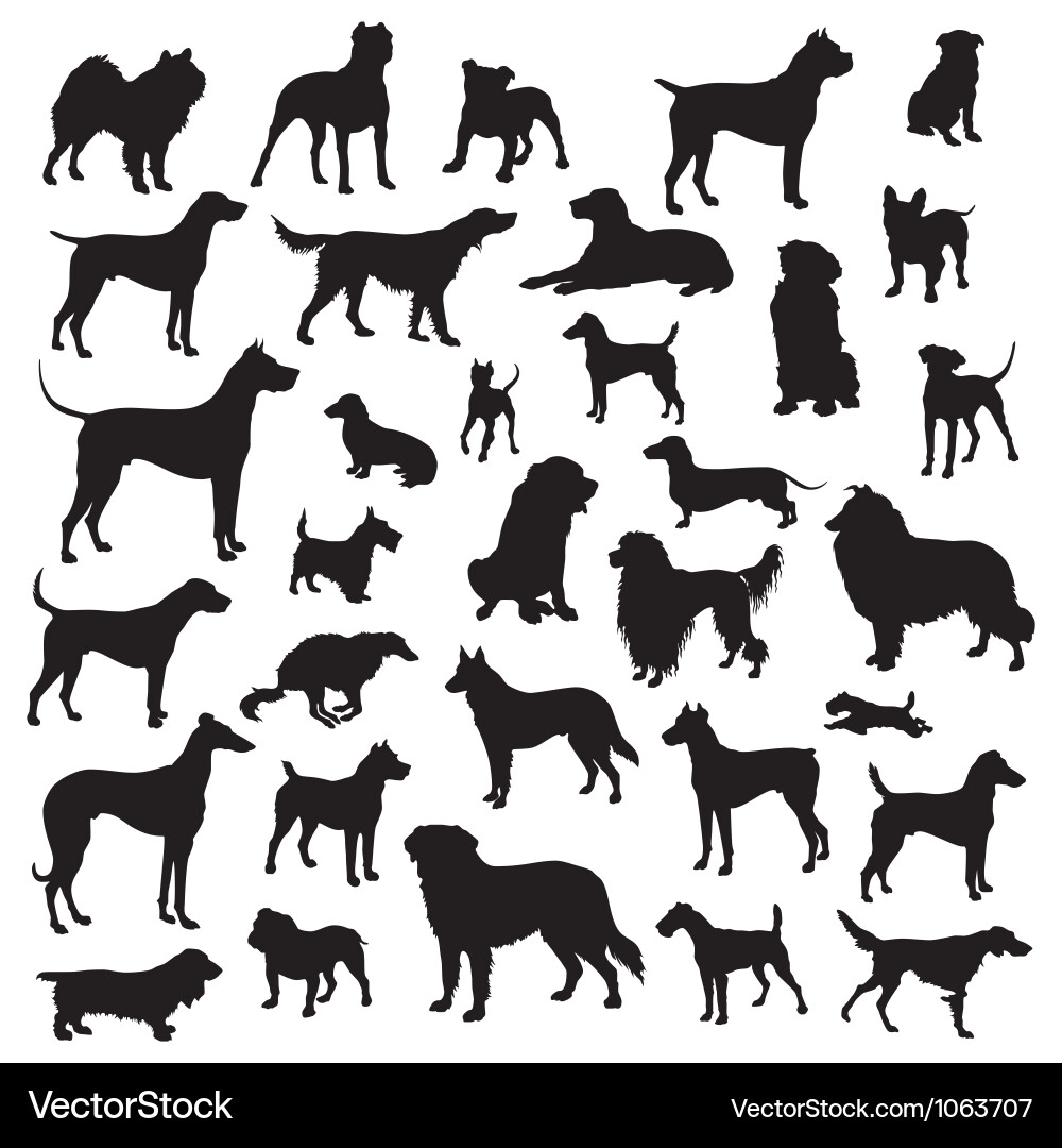Dog Patterns Vector Images (over 43,000)