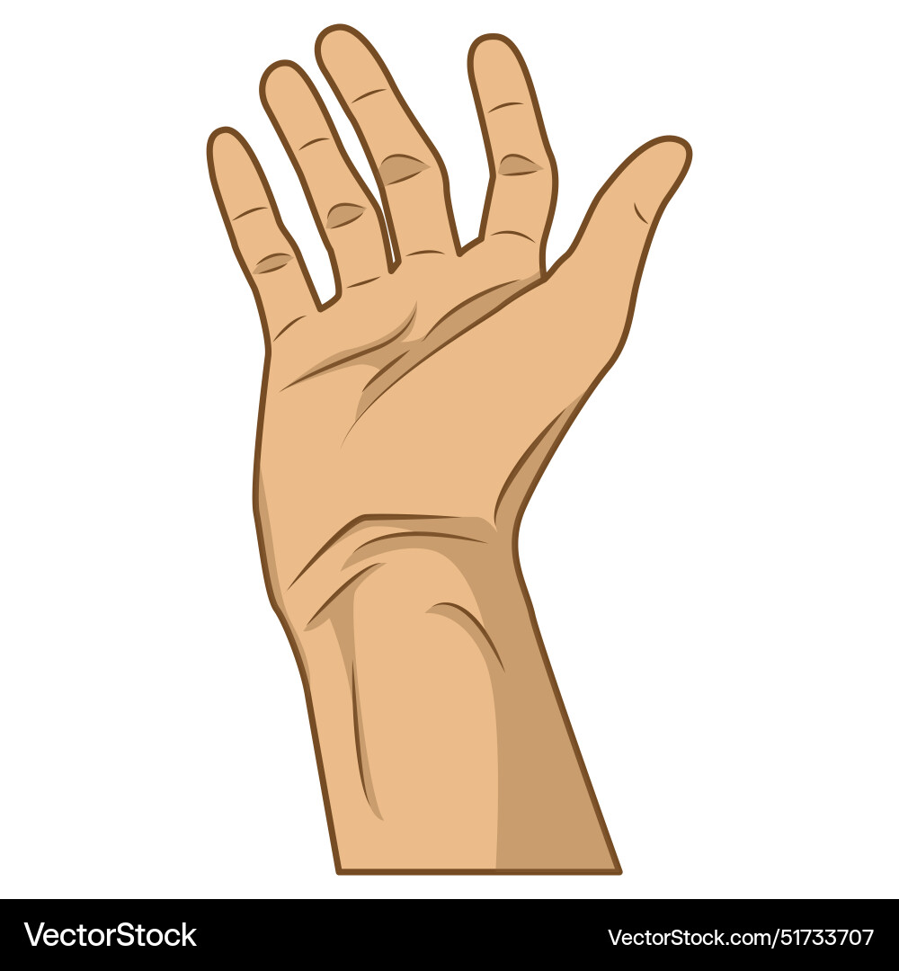 Human hands rising Royalty Free Vector Image - VectorStock