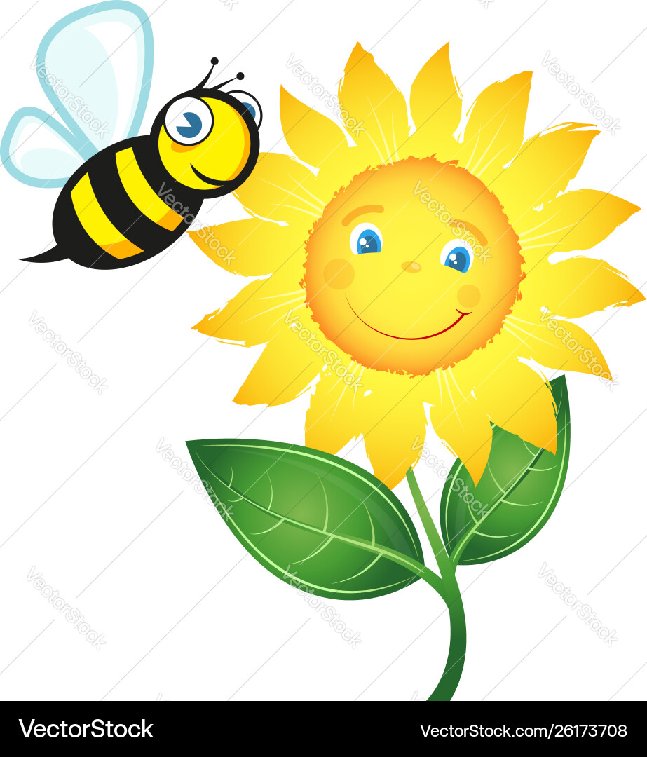 Bee and yellow flower Royalty Free Vector Image