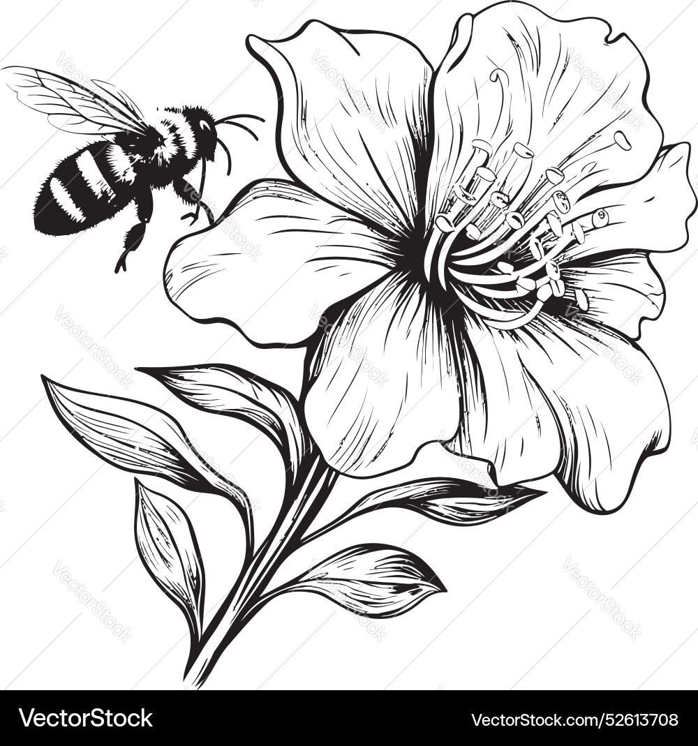 Floral flight flower bud and bee logo in black Vector Image