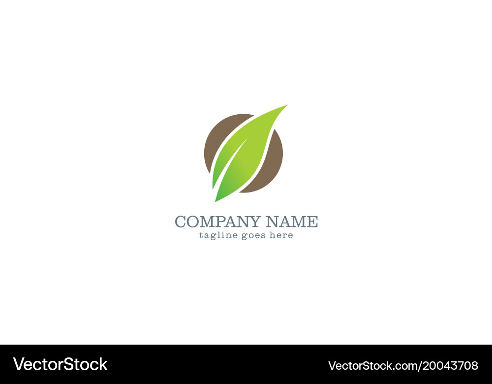Green leaf organic company logo Royalty Free Vector Image