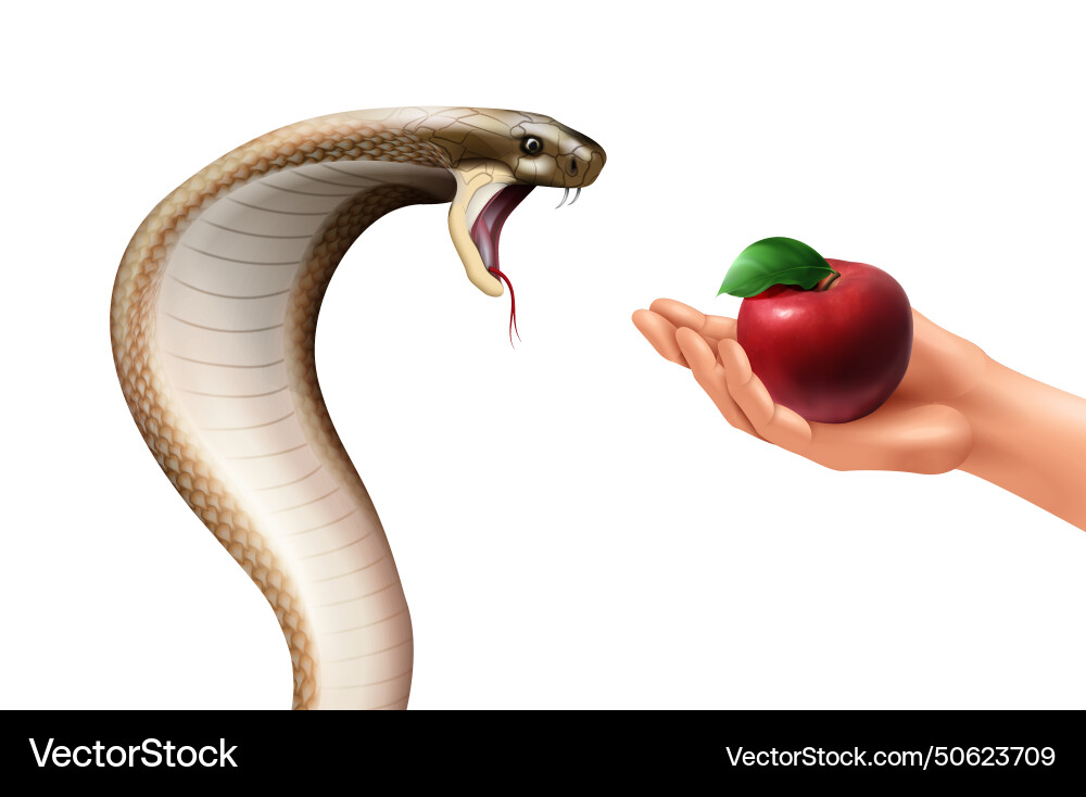 Snake and apple composition Royalty Free Vector Image