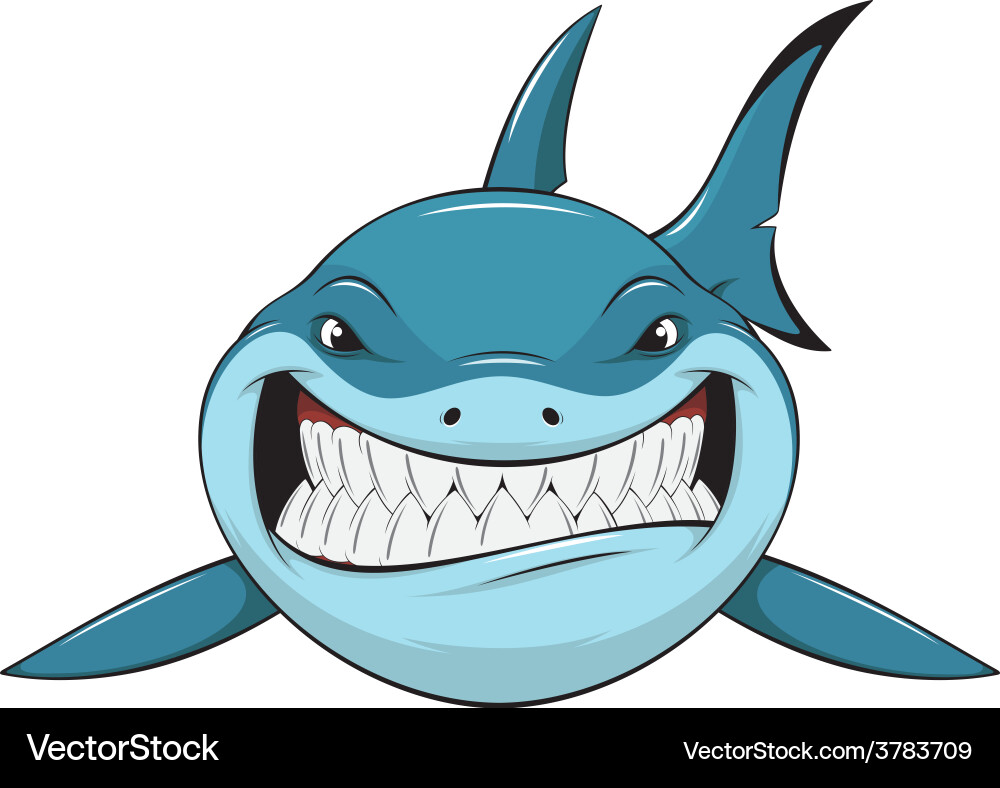White shark Royalty Free Vector Image - VectorStock