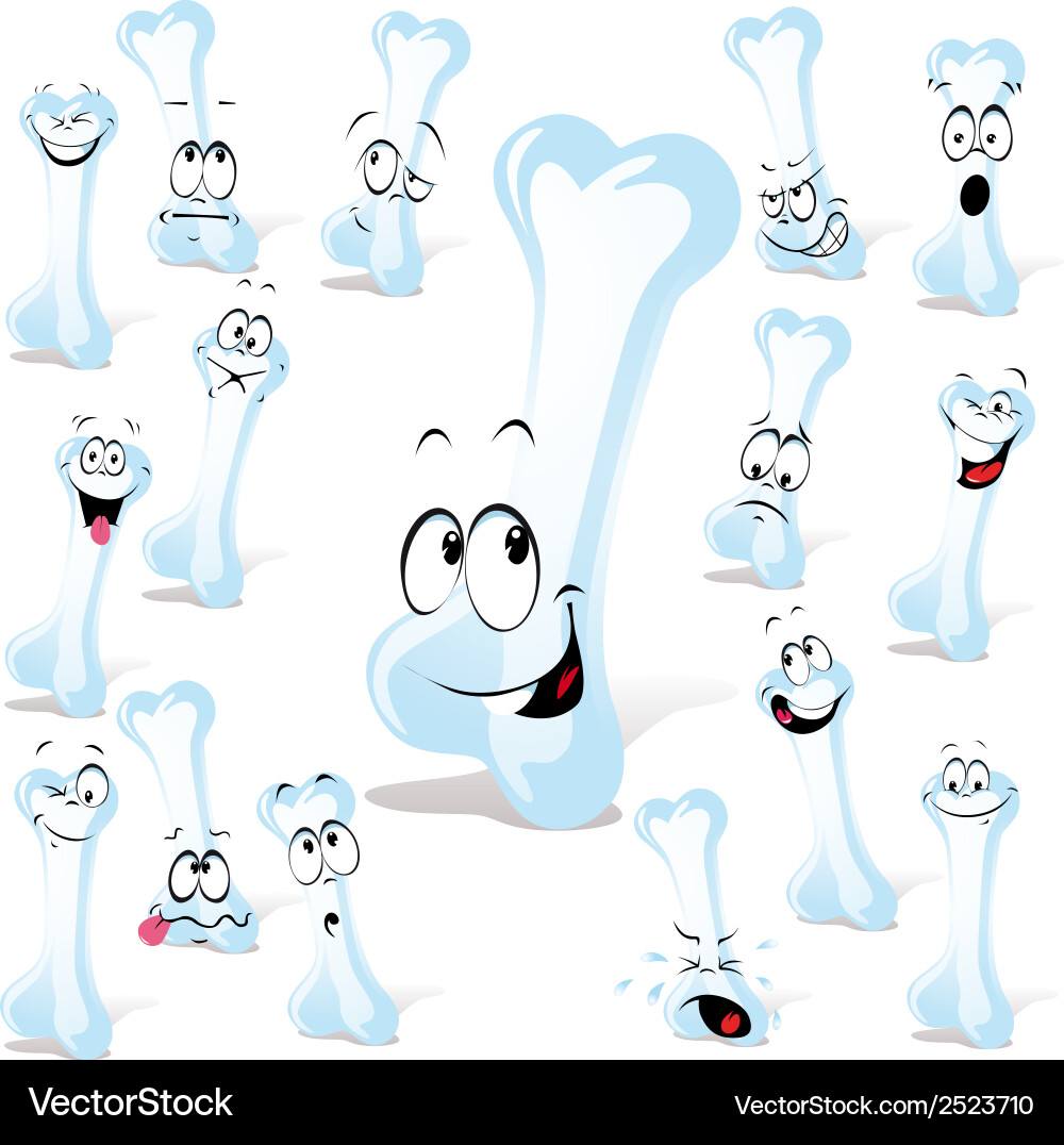 Bone Royalty Free Vector Image - VectorStock