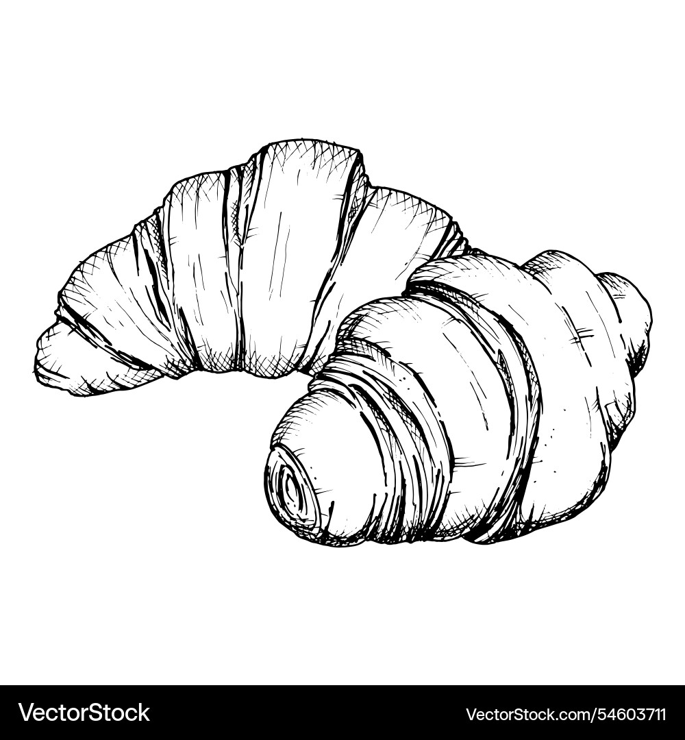 A detailed hand drawn sketch of croissants Vector Image