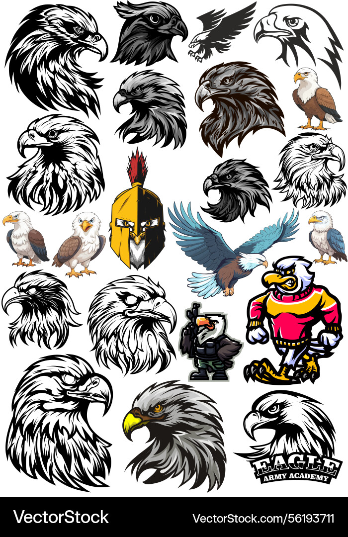 Eagles set Royalty Free Vector Image - VectorStock