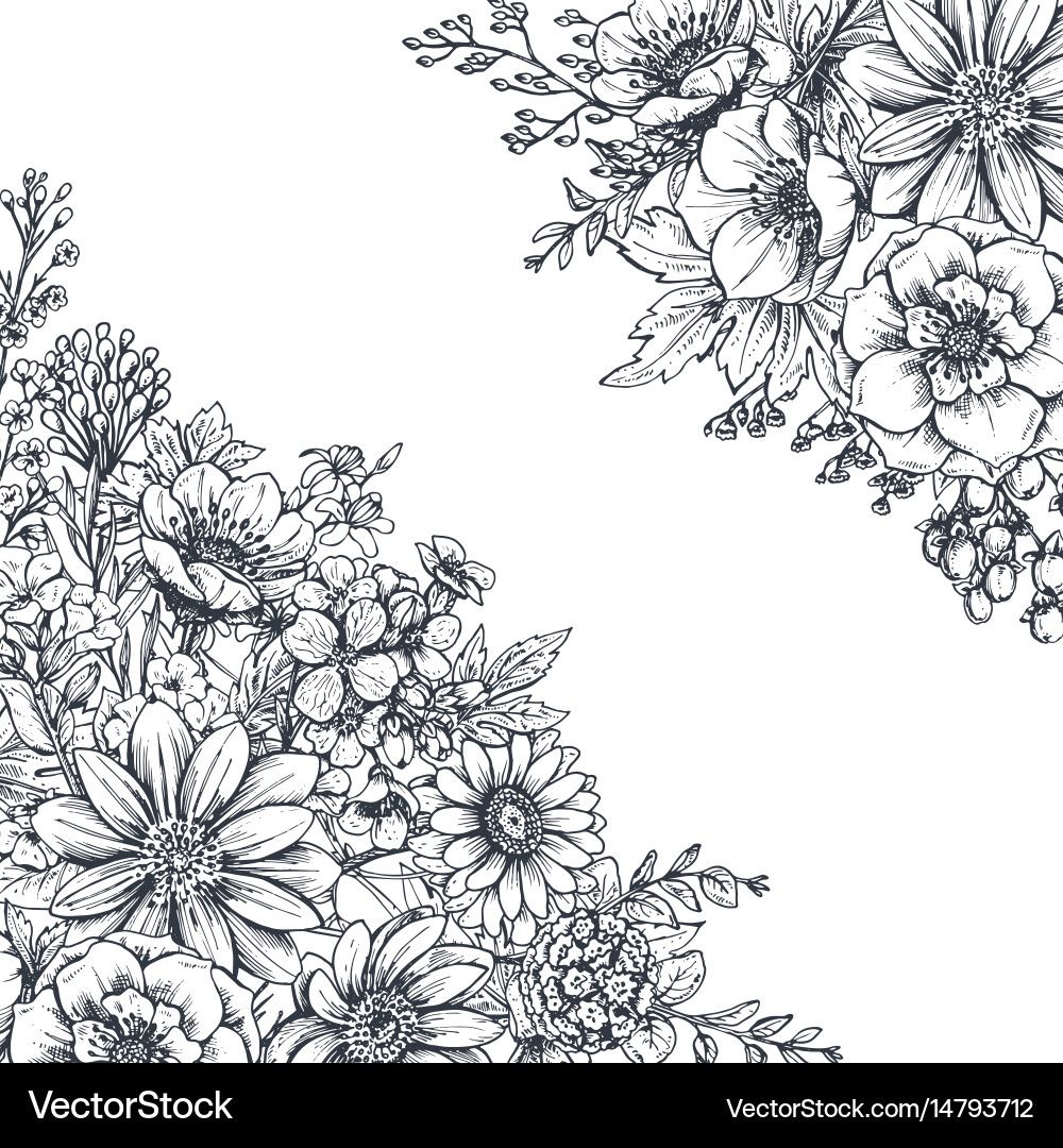 Floral backgrounds with hand drawn flowers Vector Image