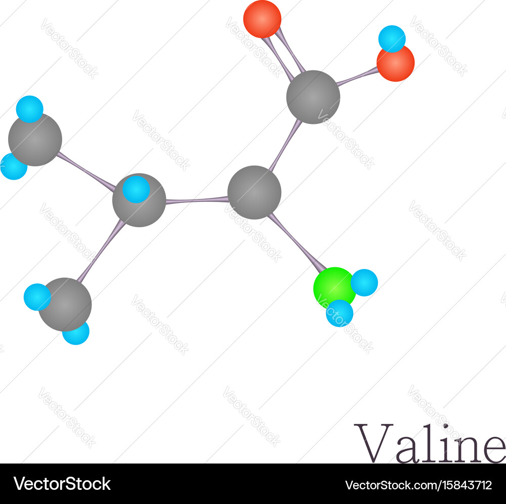 Valine 3d molecule chemical science cartoon style Vector Image
