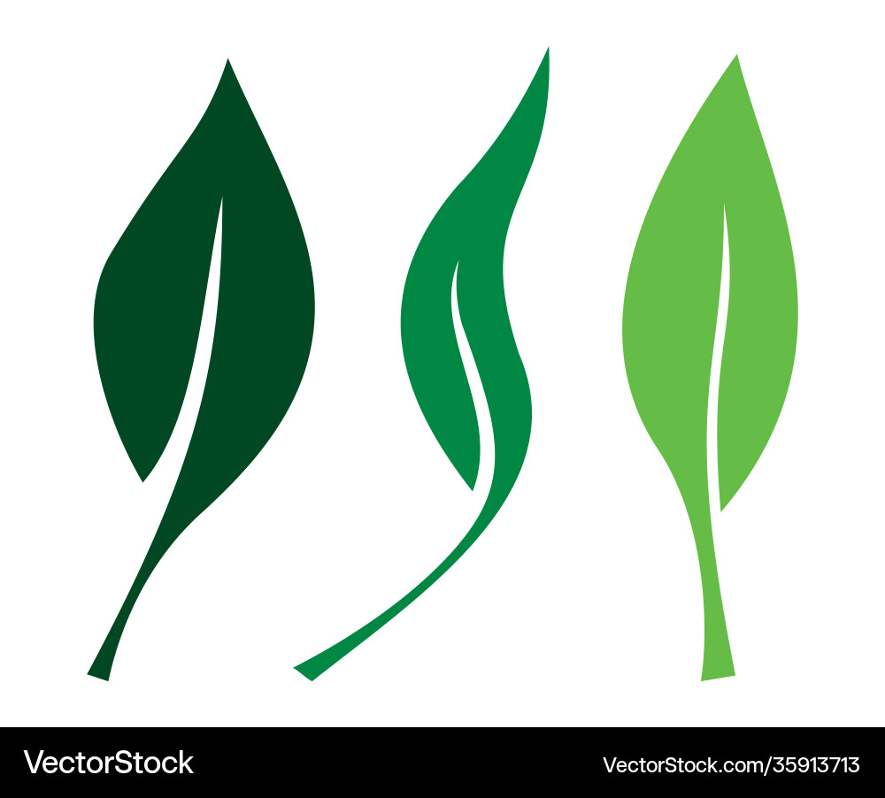 Leaf set Royalty Free Vector Image - VectorStock