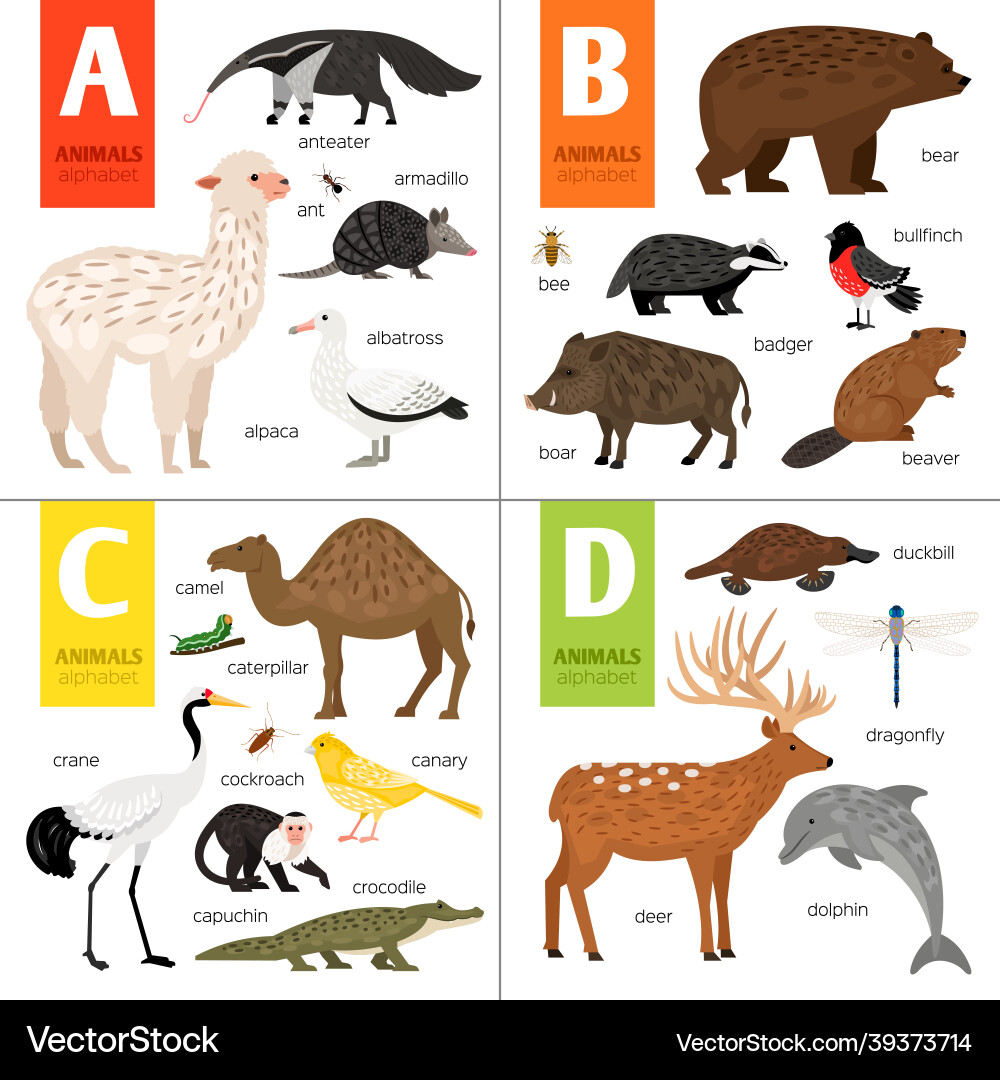 Abc different animals cute zoo alphabet Royalty Free Vector