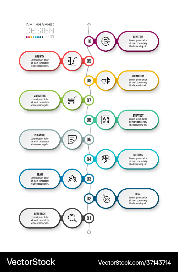 Business work flow infographic template Royalty Free Vector