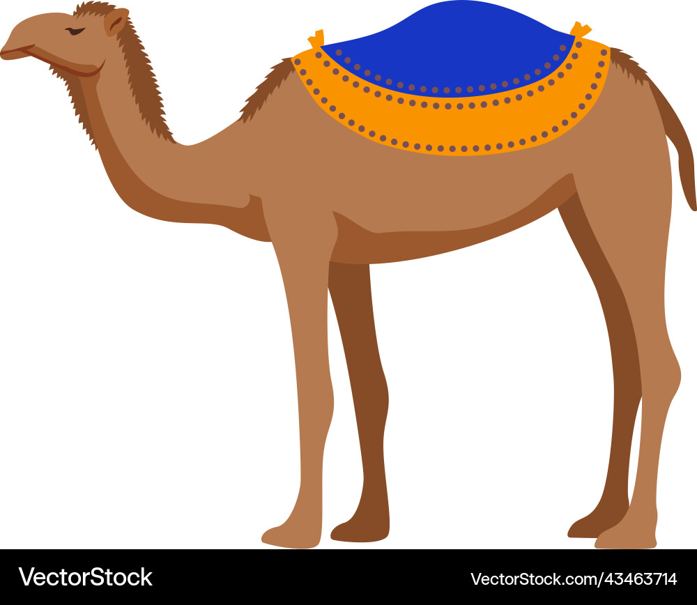 Camel israel travel composition Royalty Free Vector Image