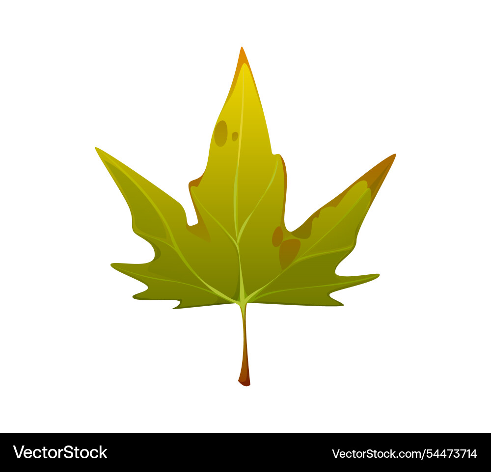 Cartoon autumn green maple leaf with brown spots Vector Image