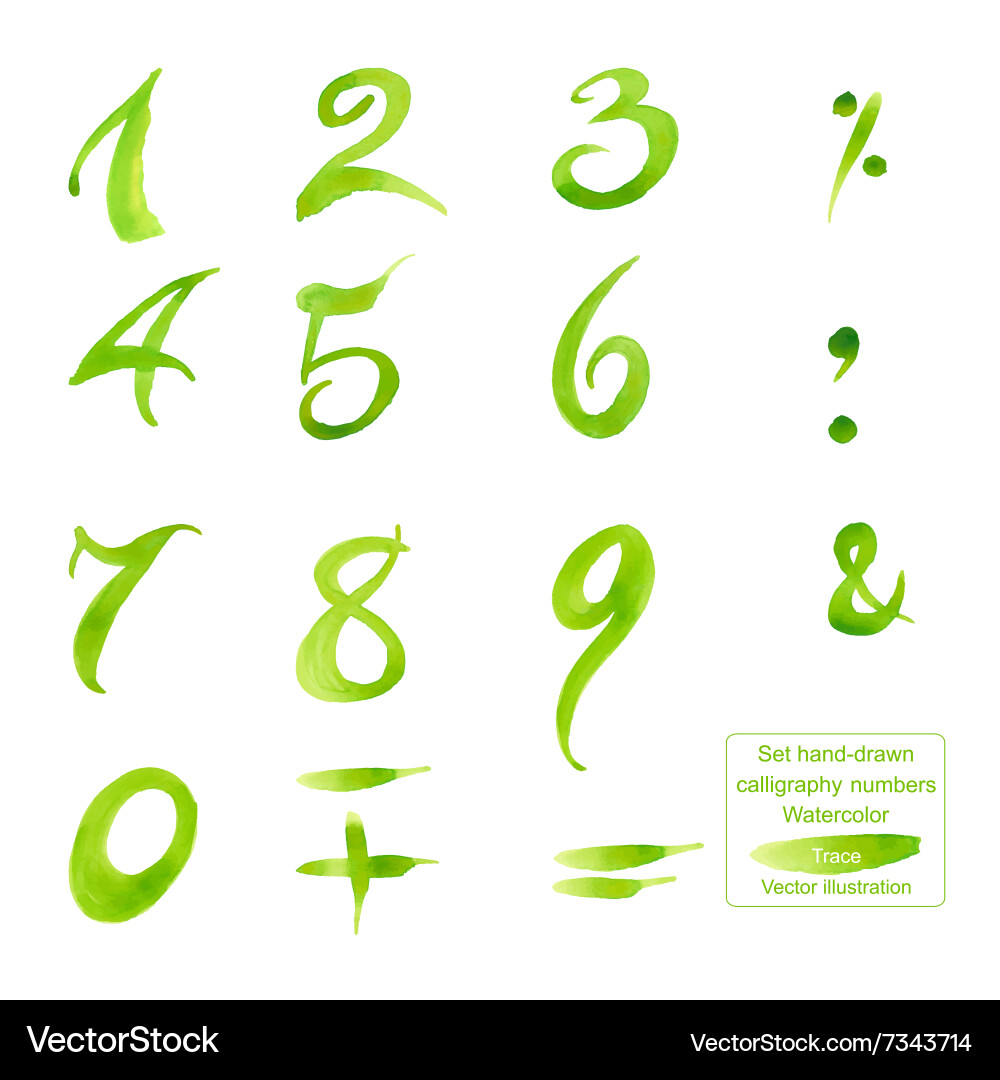 Hand-Drawn Calligraphy Numbers & Symbols Set Vector Image
