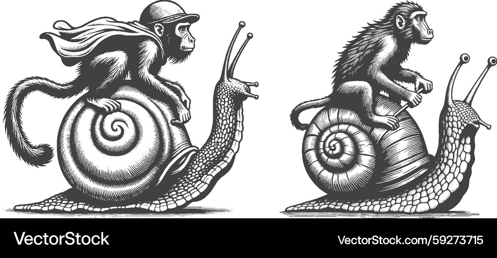 Baboon Riding a Snail - Vintage Style Royalty Free Vector