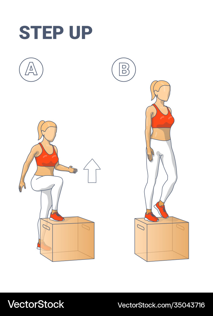 Step Up Exercise - Female Workout Royalty Free Vector Image